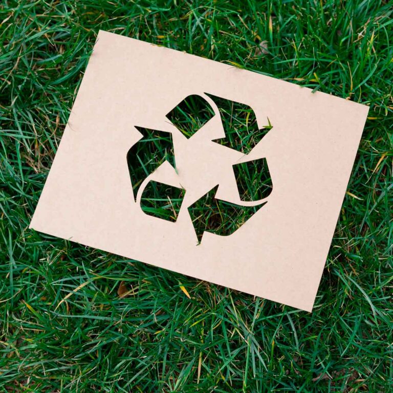 ¿Cómo elegir el mejor packaging ecológico para tu negocio? - El Bien Social