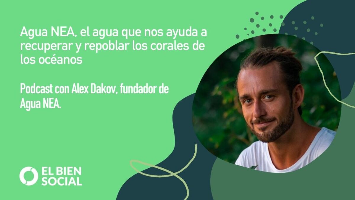 L'Olivera: Una experiencia real con una empresa social - El Bien Social